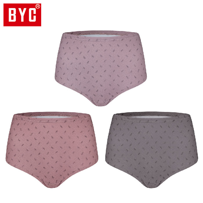 BYC 여성 메가스타 맥시 3매입 삼각팬티 DOLP9027WP - 온채널